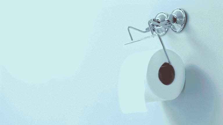 Toilet Paper Holder Installation Guide: Height, Location & Position